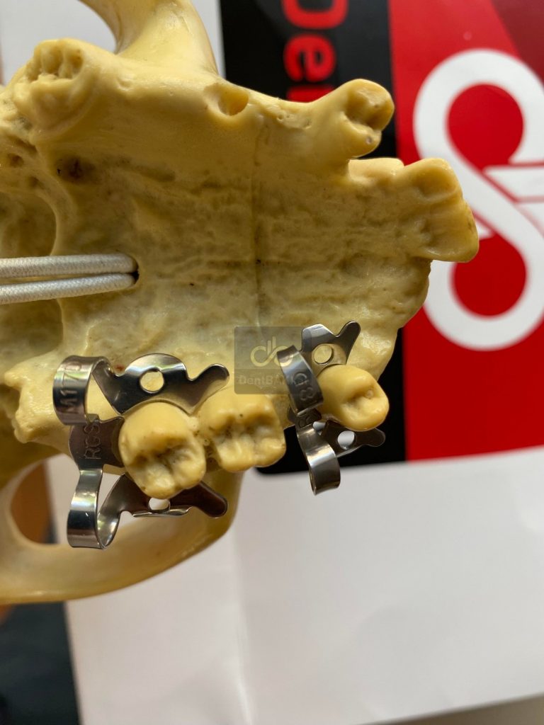Endodontik Molar Distal Klemp MD17 MD18 - Dent Bakkal
